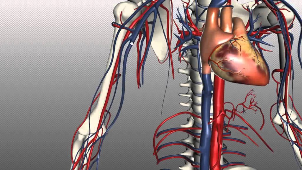 Ziua de Cluj | De aici ar trebui să înveţe biologie copiii noştri ...