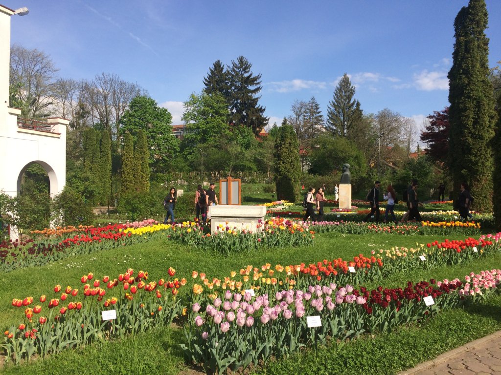 Ziua de Cluj | Raiul florilor la Grădina Botanică din Cluj-Napoca ...
