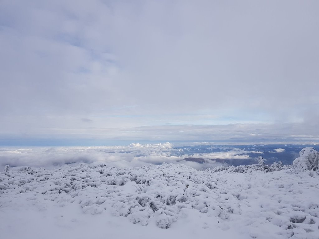 Ziua de Cluj | Vine iarna spre final de ianuarie la Cluj-Napoca ...