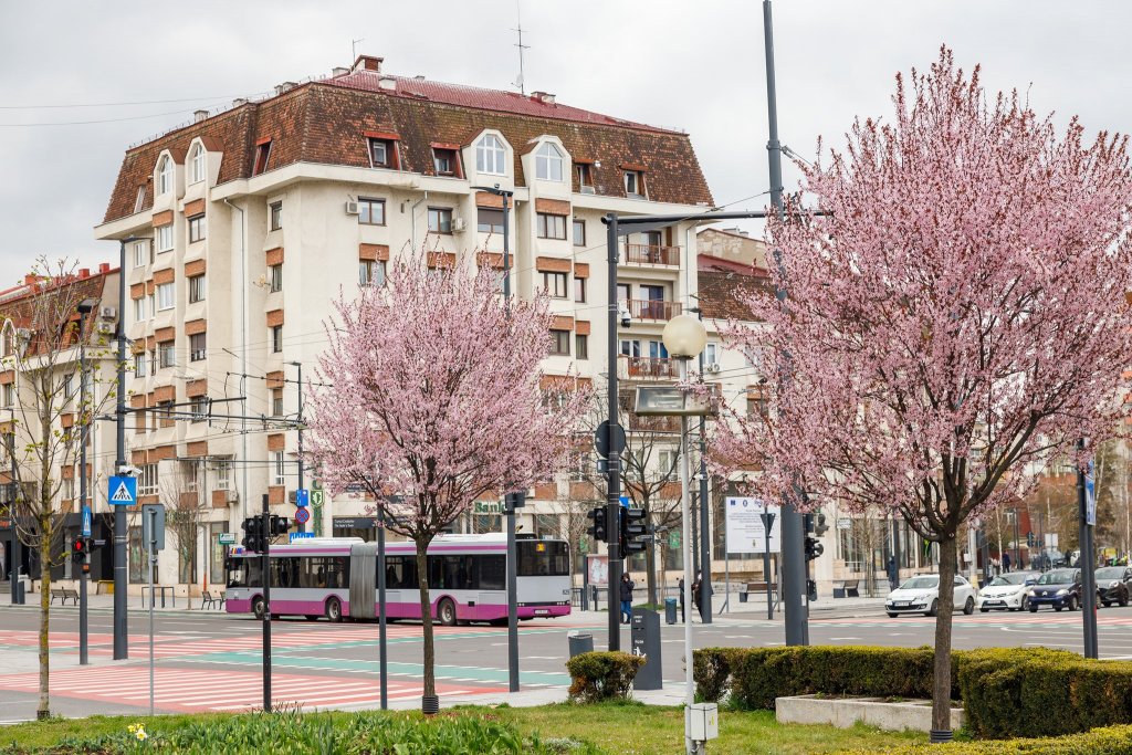 Ziua de Cluj | Clujul, cel mai scump din țară din pricina imobiliarelor ...