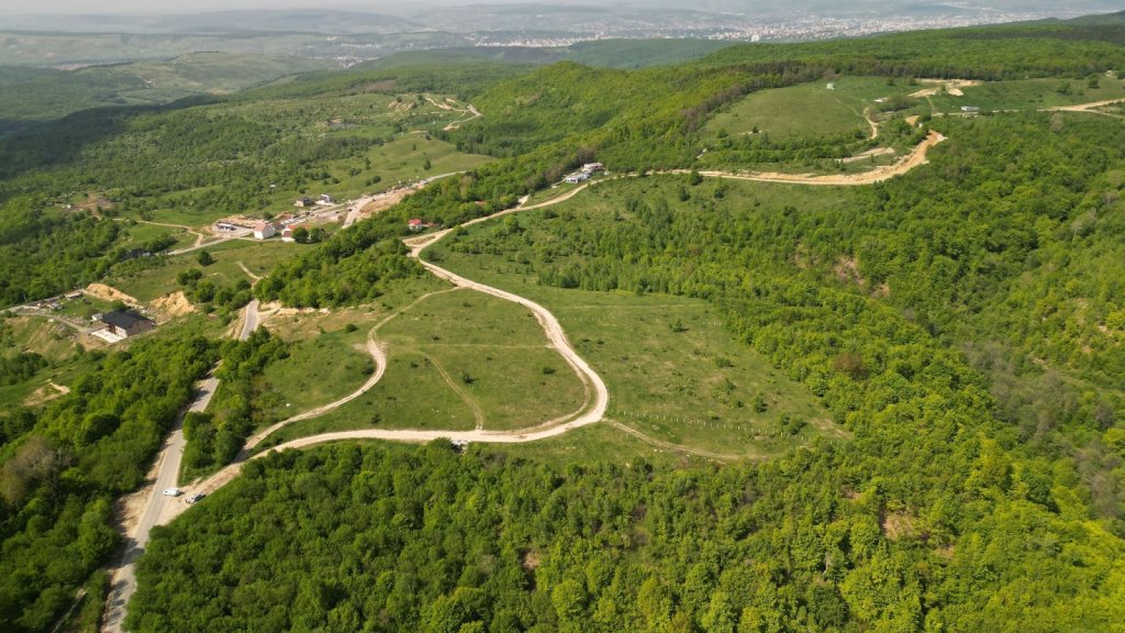 Ziua de Cluj | O nouă arie protejata se naște la Cluj