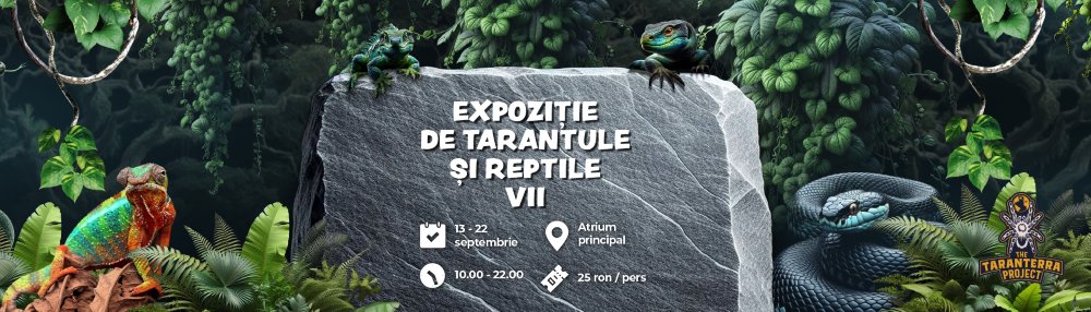 Ziua de Cluj | 70 dintre cele mai cunoscute exemplare de tarantule ...