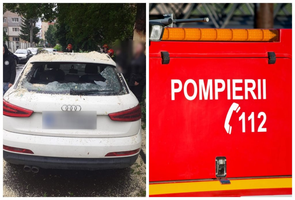 Ziua de Cluj | Cluj: Un arbore a căzut peste două mașini parcate. Au ...